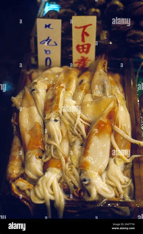 Squid In Trays Taken In 1996 Tsukiji Fish Market Tokyo Japan Stock
