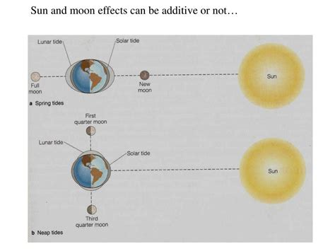 Ppt Tides Tide Producing Forces Semi Diurnal Diurnal Tides Lunar And Solar Tides Resonance