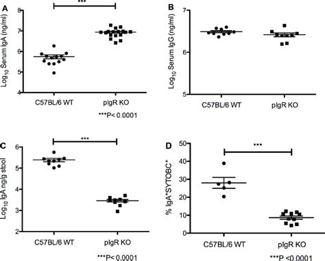 Elevated Serum Iga Decreased Stool Iga And Decreased Iga Coating Of