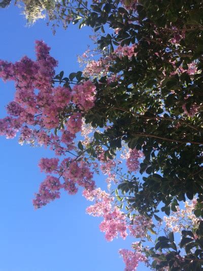 Post [172664549705] Tumbex