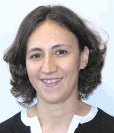 A Stochastic Dual Dynamic Integer Programming Based Approach For