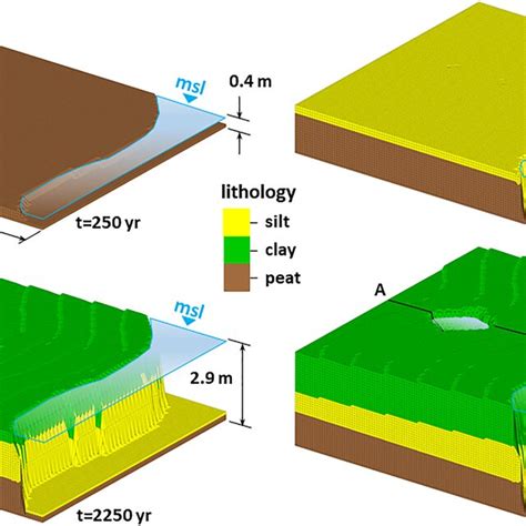 Tidal Salt Marsh Evolution At Times 250 1250 2250 And 3000 Years