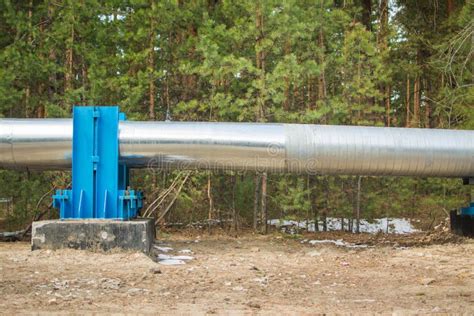 Construction Of The Pipeline Along The Coniferous Forest Stock Image