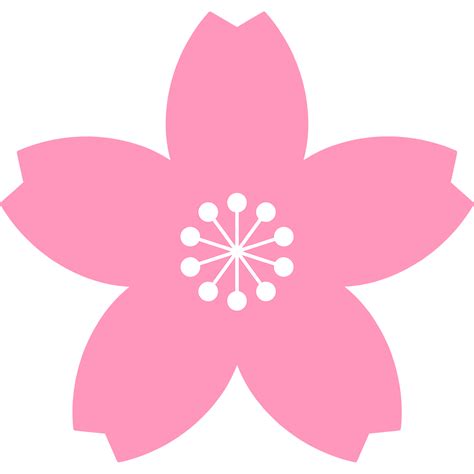 桜の花の無料イラスト 無料イラスト＆かわいいフリー素材集 ねこ画伯コハクちゃん