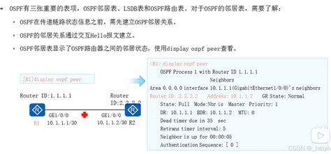 保姆级构建拓扑图配置ospf Csdn博客