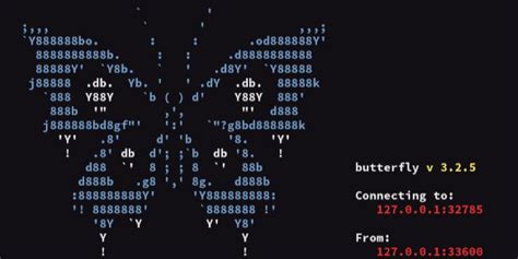 Butterfly Web Terminal Based On Websocket And Tornado