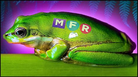 МЕГА Лягушка в Адопт Ми 2021 🐸 ТОП ТРЕЙДЫ в Adopt Me Роблокс адопт ми трейд Youtube