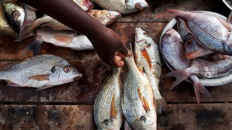 West Africa Aims To Stop Illegal Fishing
