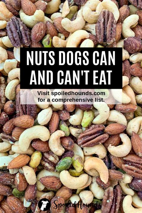Nuts Dogs Can Eat And Nuts Harmful To Dogs