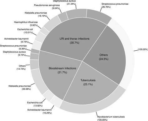 Vaccine Avertable Amr Burden By Infectious Syndrome And Pathogen Download Scientific Diagram