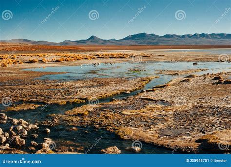 Beautiful Landscape In The Reserva Nacional Los Flamencos Stock Image Image Of Chile
