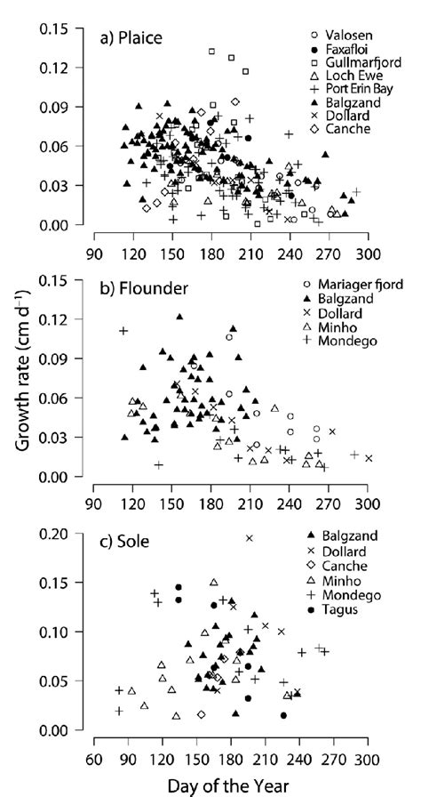 Pleuronectes Platessa Platichthys Flesus And Solea Solea Field Growth
