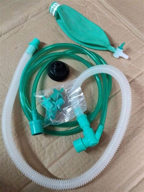 Pediatric Brain Circuit At ₹ 400 Piece Gulabi Bagh New Delhi Id