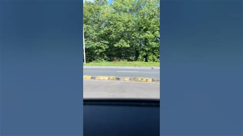 Been Swimming On My Way Home Nowswimming Tired Lc2 Youtube