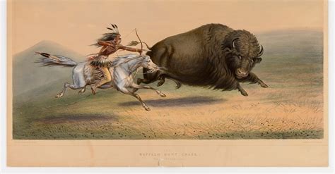 Indian Buffalo Hunt