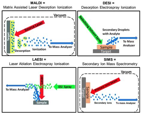 Spatial Metabolomics Maldi Msi Vs Afadesi Msi Key Technologies And Applications Metwarebio