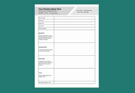 Birp Progress Note Pdf Templates Short And Long Versions Therapybypro
