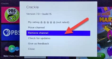 How To Remove Channels From A Roku