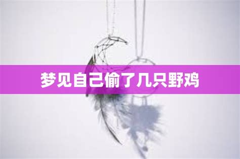 梦见自己偷了几只野鸡 命理解梦