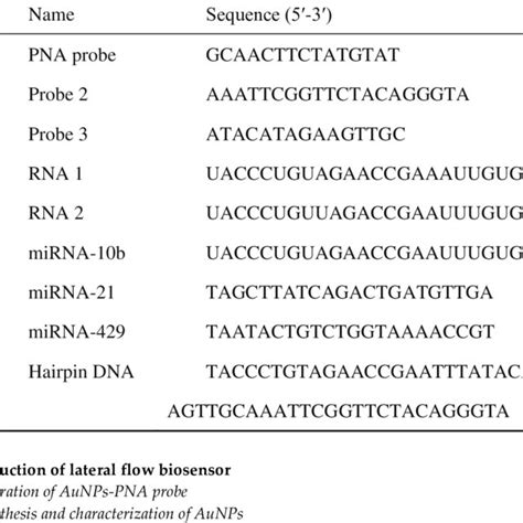 All Nucleic Acid Sequences Used In The Experiment Download Scientific Diagram
