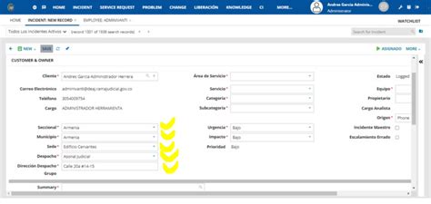 How Do I Bring In An Automatic Field When Automatic Dropdowns Are Loaded