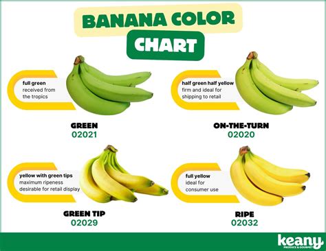 Banana Ripening Chart Banana Types At Keany Produce