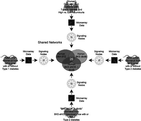 The Investigators Used Microarrays To Analyze Differential Gene
