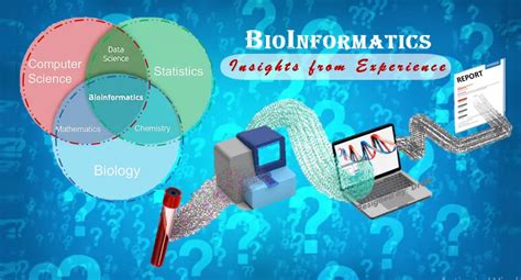 Automate Files And Folder Management With Batch Scripting By Ghazala Sultan Medium