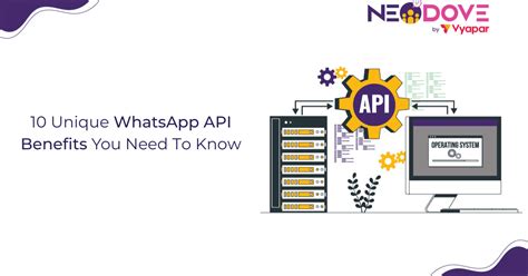 10 Unique Whatsapp Api Benefits You Need To Know Neodove