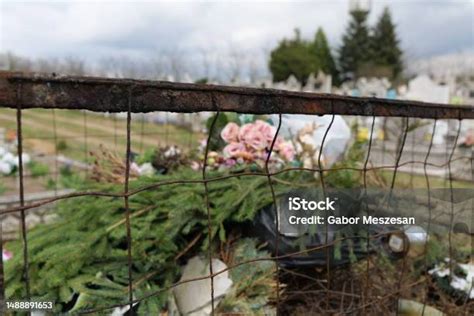 썩은 플라스틱 꽃 소나무 가지 및 기타 쓰레기로 가득 찬 묘지의 녹슨 철망 컨테이너 쓰레기통 구름에 대한 스톡 사진 및 기타 이미지 Istock