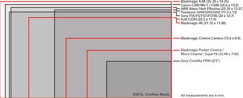 camera sensor size comparison chart a visual reference of charts