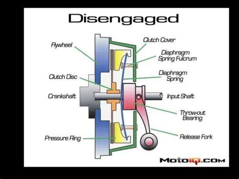 The Ultimate Guide To Understanding The Anatomy Of A Manual