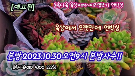 오랫만에 옥상에서 새벽언박싱 상쾌한 아침 숲속다육표로 기분전환 예쁜 다육 오늘도 득템이에요 본방송20231030