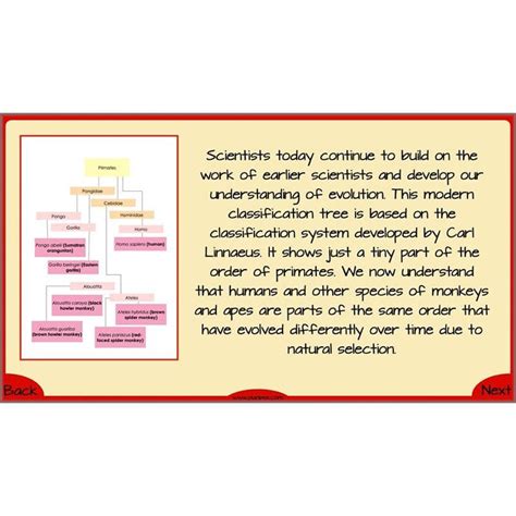 Year 6 Evolution And Inheritance Ks2 Science From Planbee