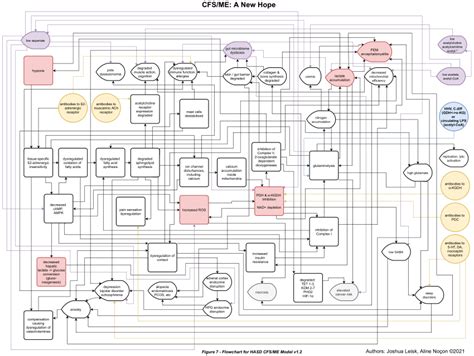 Flowchart For Hasd Cfs Me Model V1 2 Download Scientific Diagram