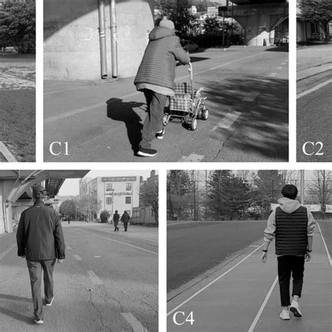 Five Different Gait Styles Cane Assisted Gait C0 Walker Assisted