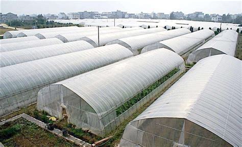 连栋温室大棚骨架价格 温室大棚骨架厂 镀锌大棚管 养殖大棚 蔬菜大棚造价