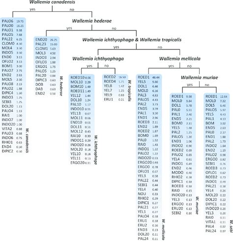Visualization Of The Predictive Clustering Tree Pct Of Secondary Download Scientific Diagram