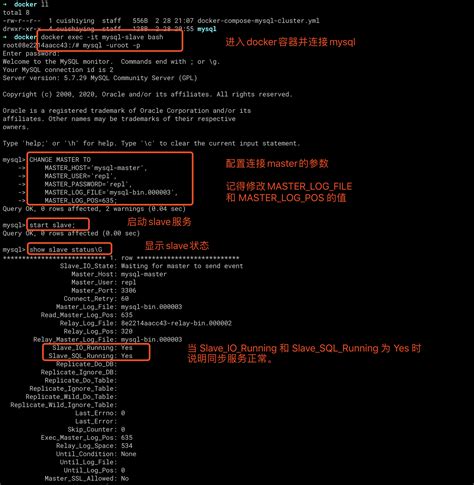 Docker实战之mysql主从复制 当我遇上你