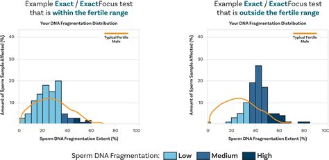 Understanding Your Male Fertility Results Sperm Dna Test Examen Understanding Your Male Fertility Results Sperm Dna Test Examen