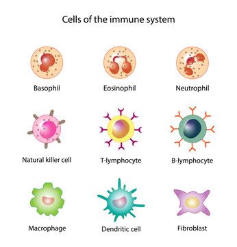 Dendritic Images Browse Stock Photos Vectors And Video Adobe Stock