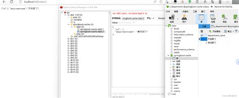 Javaredis整合查询值一样问题（完美解决）java Redis 键值对一样 Csdn博客