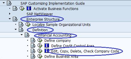Enterprise Structure Configuration Settings In SAP FICO