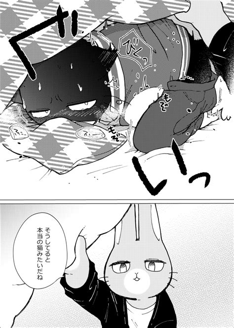 Rule 34 Anthro Black Body Black Fur Comic Domestic Cat Doujinshi Duo