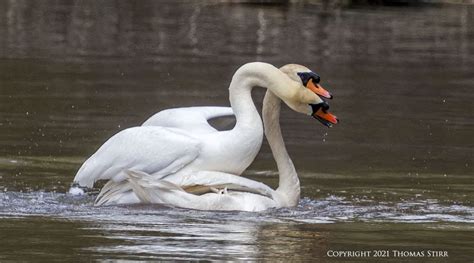 Small Sensor Photography By Thomas Stirr This Website Celebrates The Joy Of Photography And