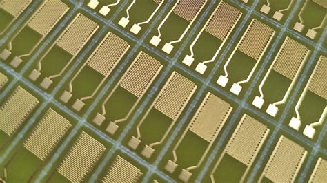 Sheet Of Interdigitated Electrodes With A Width And Spacing Of 130 µm
