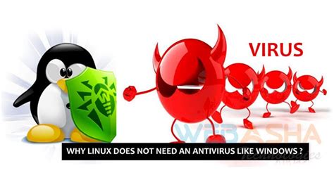 Why Linux Does Not Need An Antivirus Like Windows Web Asha Technologies