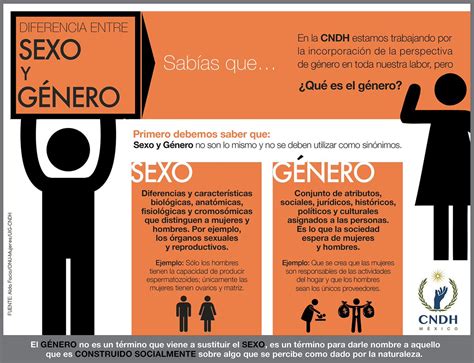 Definicao De Genero