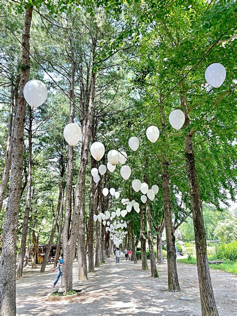 주말여행 사계절 다 좋은 남이섬 두피디아 여행기