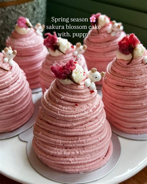 챱챱케이크 강남케이크 강남레터링케이크 강남주문제작케이크 강남주문케이크 강남카페 봄 맞이 벚꽃케이크가 새로 나왔습니다🌸 바닐라 시트 마스카포네 크림 체리콩포트 체리